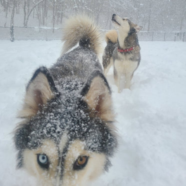 Hunter Heyboer | Strava Runner Profile