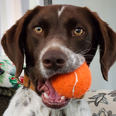 Scabby gabby doo | Strava Cyclist Profile