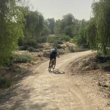 Perfil de Ciclista do Strava | Peter Ayre