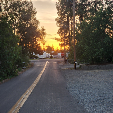 Shane Dyck | Strava Runner Profile