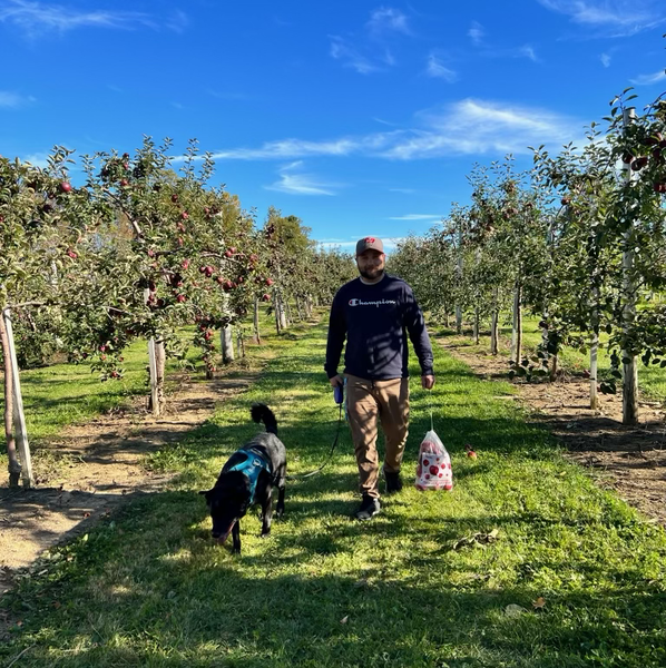 Marc-andré Perron | Strava Runner Profile