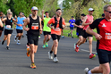 RUN THE TAN | Strava