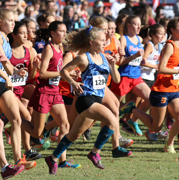 Strava Runner Profile | abby dickson