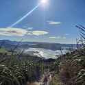 Dunedin, Otago, New Zealand | Trail Run Club Dunedin