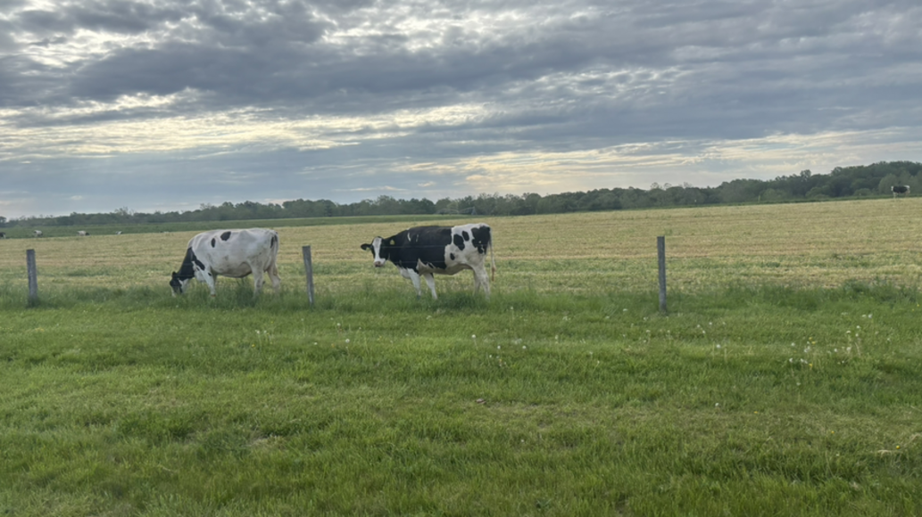 Middletown , DE | Middletown Del. Cycling Group