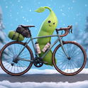 | Bean racing